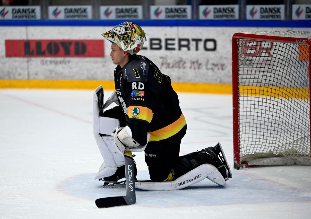 Highlights: Herlev - Odense