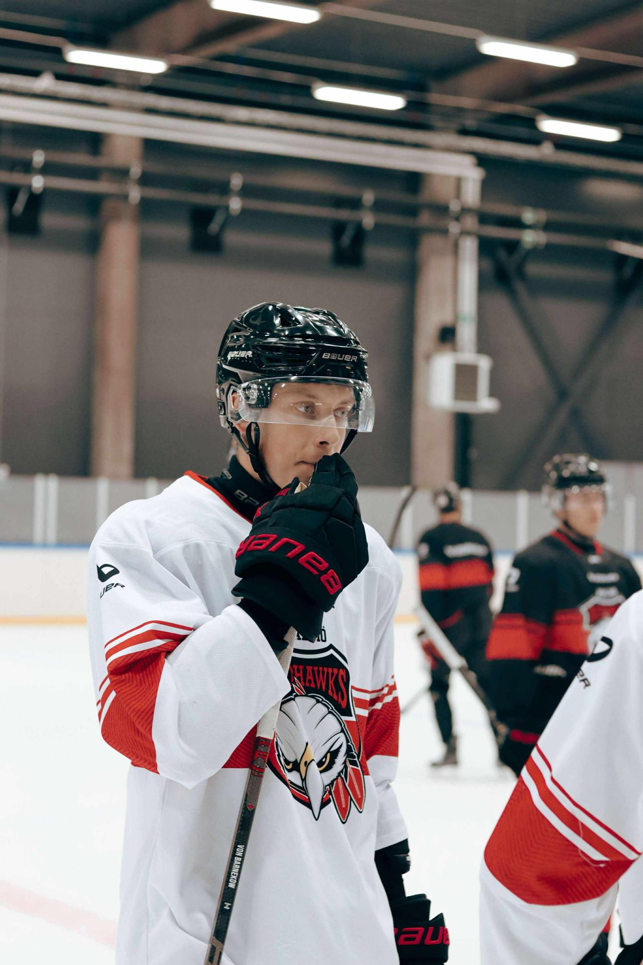 Malmö Redhawks spiller med danske rødder: At få lov til at spille en ...